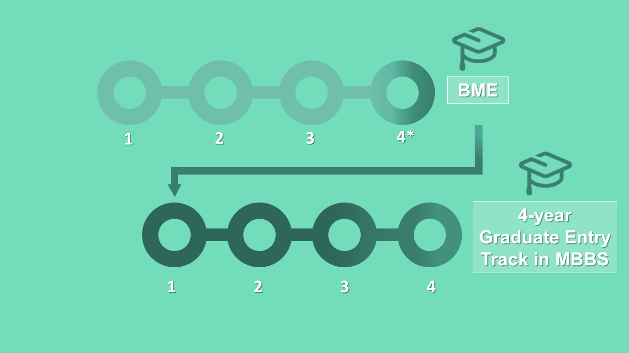 BEng(BME) (JS6925) - Bachelor of Engineering in Biomedical Engineering ...